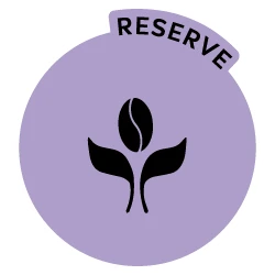 Reserve: discover our green coffee | Forest Coffee - Forest Coffee