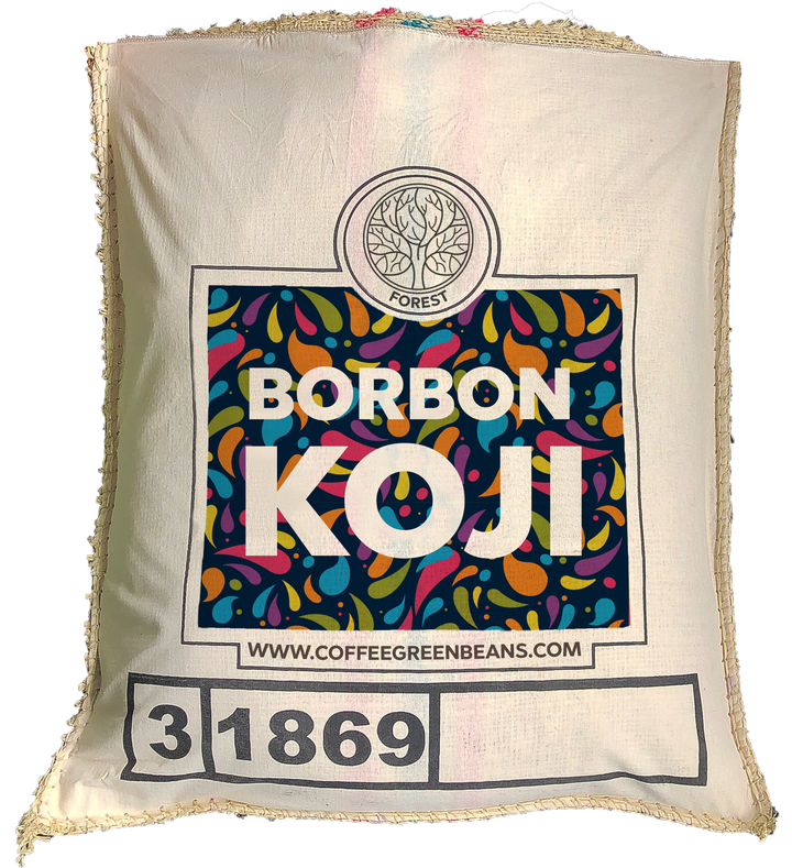 Elias & Shady Bayter - Forest Coffee