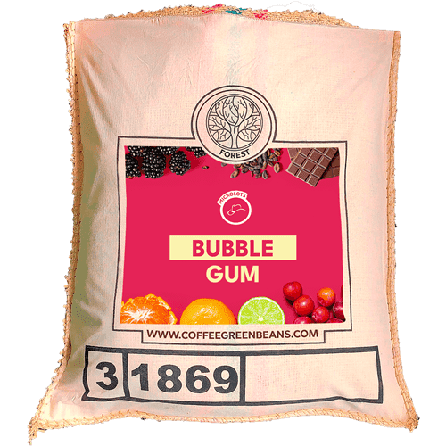 BUBBLE GUM - Forest Coffee