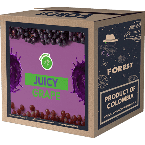 Juicy Grape - Green Coffee Fermented with Grapes - Forest Coffee