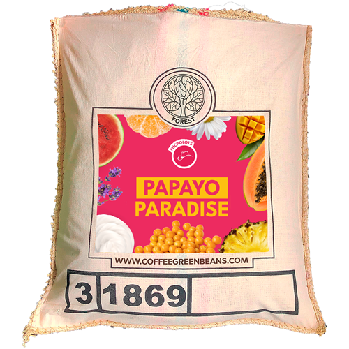 PAPAYO PARADISE - Forest Coffee