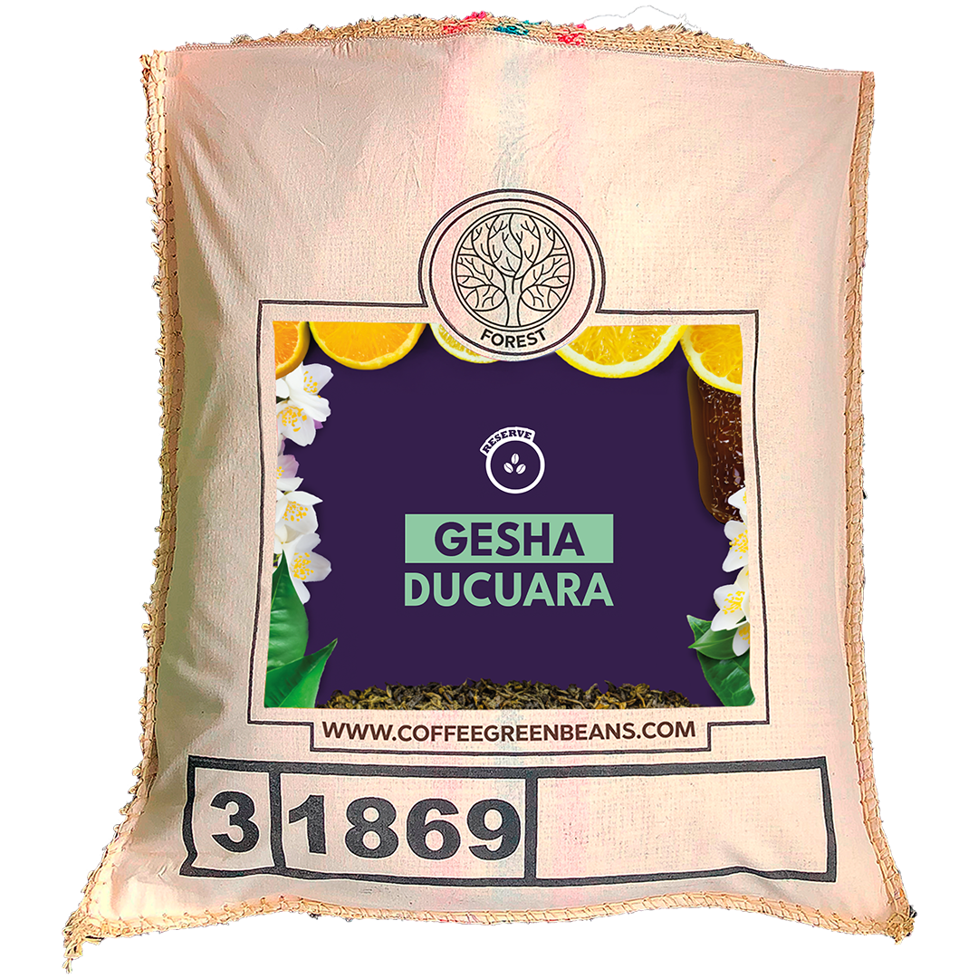 GESHA DUCUARA - Forest Coffee