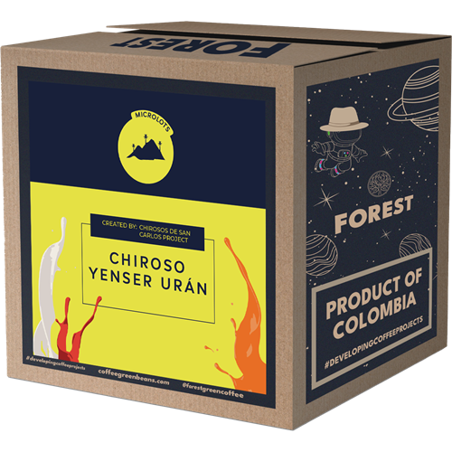 Chiroso Yenser Urán: Natural Anaerobic Green Coffee - Forest Coffee