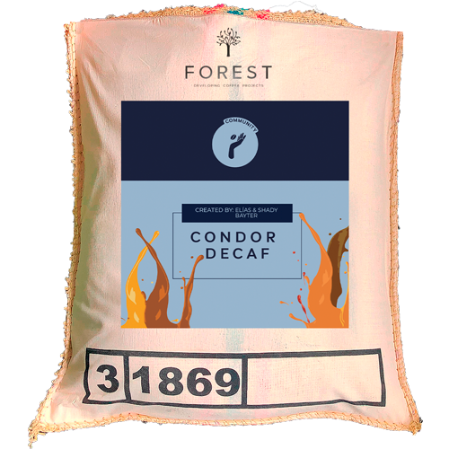 CONDOR DECAF - Forest Coffee