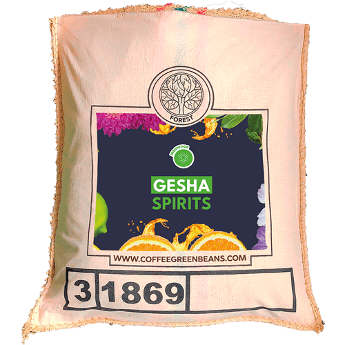 GESHA SPIRITS - Forest Coffee