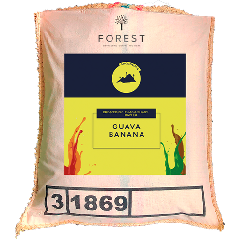 Guava Banana: Natural Caturra Colombian Coffee Green Beans - Forest Coffee