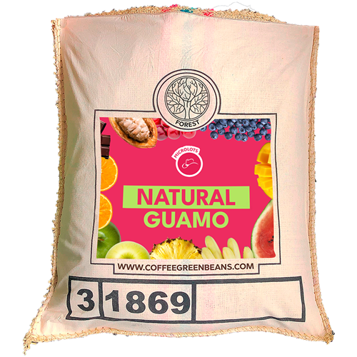 NATURAL GUAMO - Forest Coffee