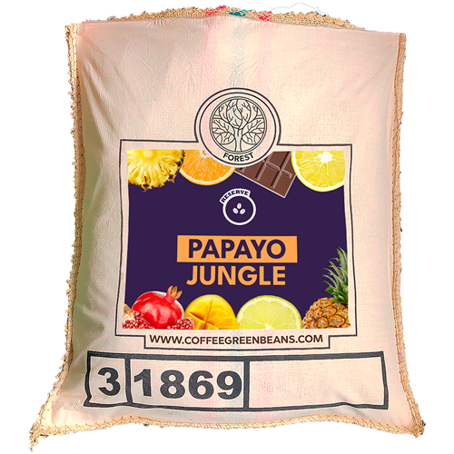 PAPAYO JUNGLE - Forest Coffee