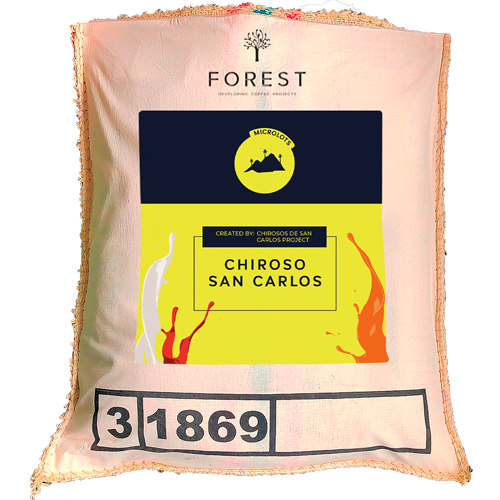 CHIROSO SAN CARLOS - Forest Coffee